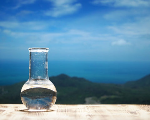 Septic System Design, Inspection, & Troubleshooting - Bayer Risse